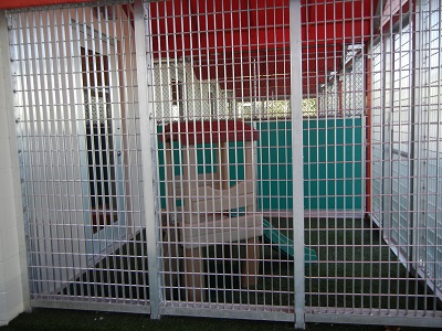 Walt Disney World Kennel