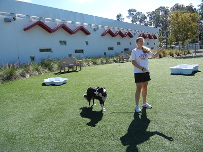 Walt Disney World Kennel