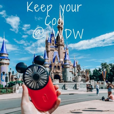 How to Keep Cool at Walt Disney World