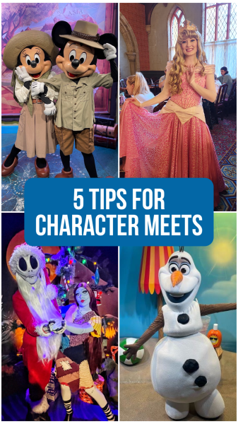 5 Tips for the Best Character Meets
