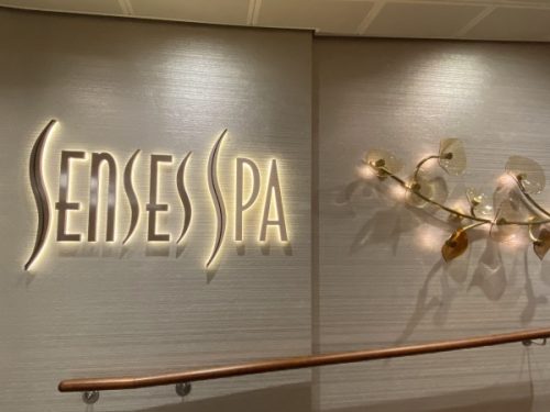 Visiting The Senses Spa On The Disney Wish Ultimate Relaxation On Disney Cruise Senses Spa