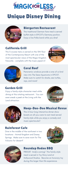 Unique & Fun Disney Dining Experiences | The Magic For Less
