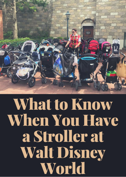 What to Know When You Have a Stroller at Walt Disney World