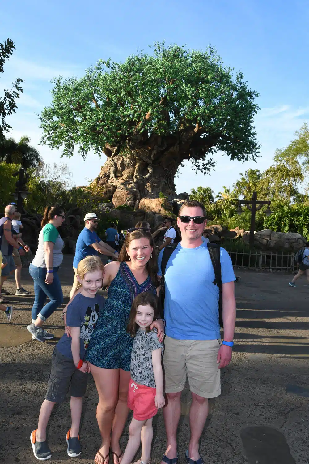 Meet Andrea Foster - The Magic For Less - The Magic For Less Travel